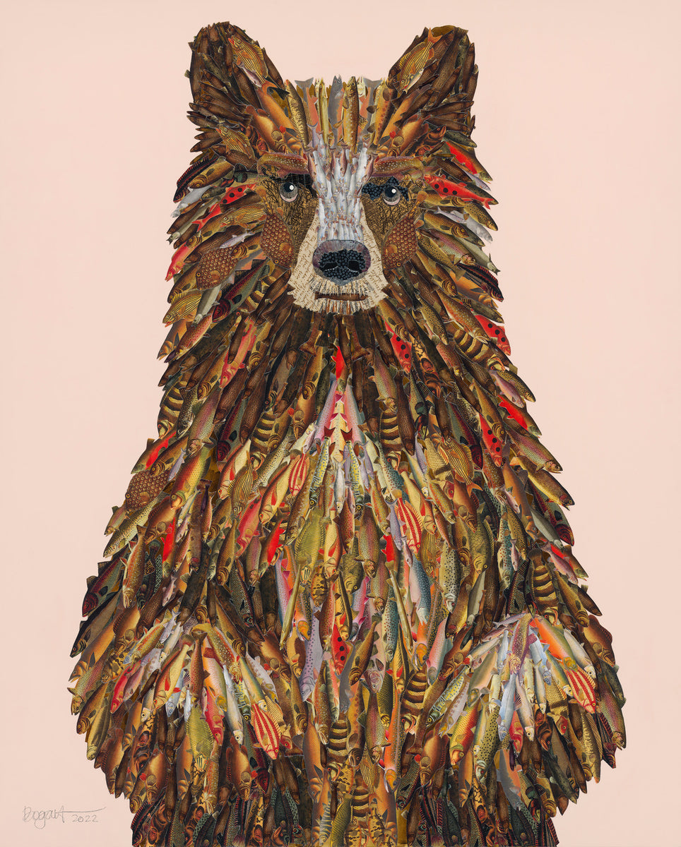 Harrington (Bear)– Blue Print